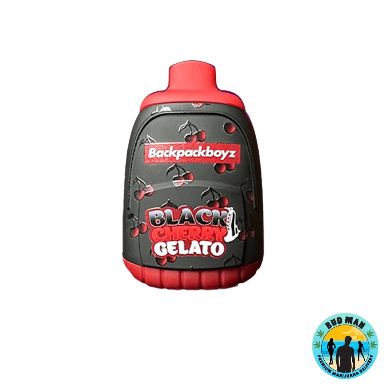 Exploring Dr Mrs Vandertramp: A Guide For French Learners - Article ...